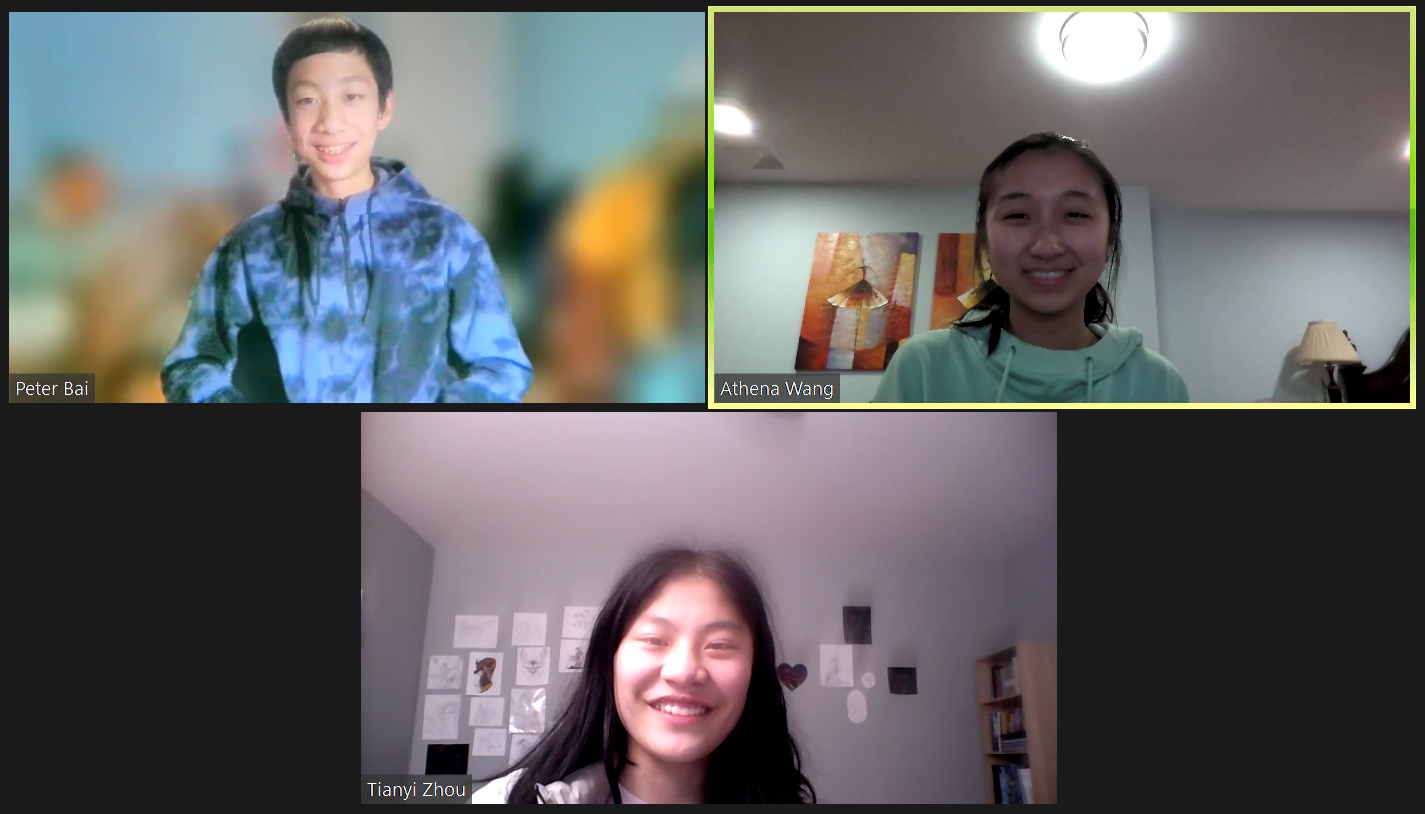 Teacher’s Zoom - Numberosity